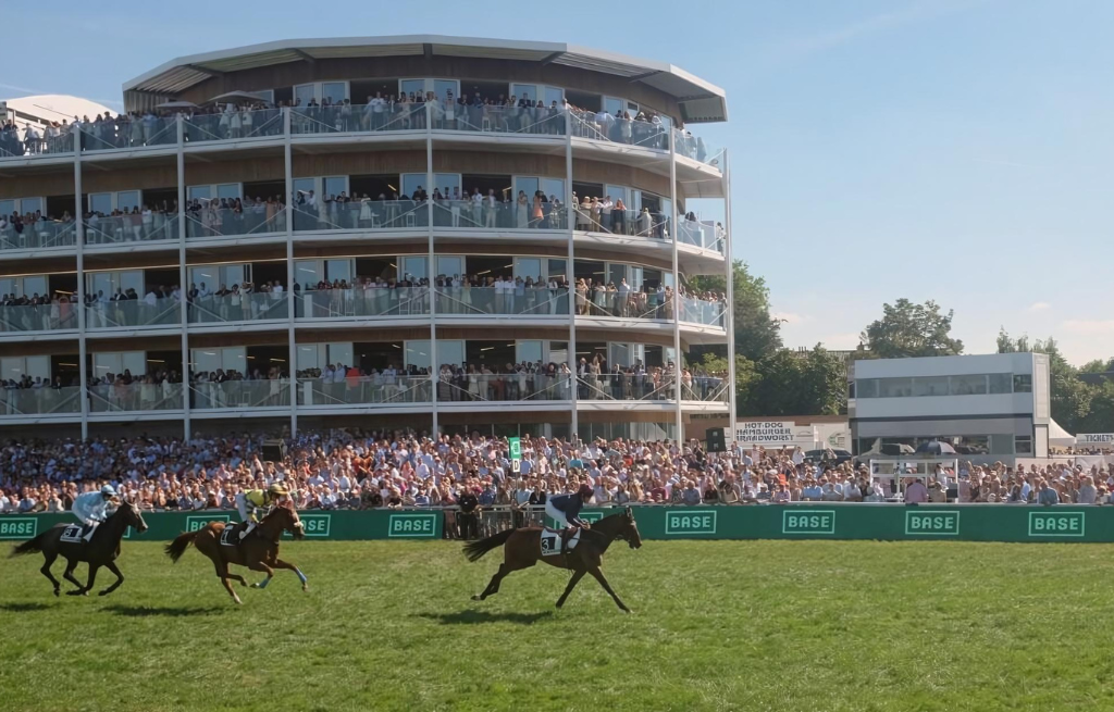 Racecourse stands at the Waregem Hippodrome - Vasco